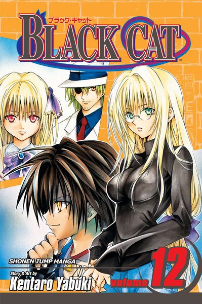 Black Cat Manga Volume 12 | Crunchyroll Store
