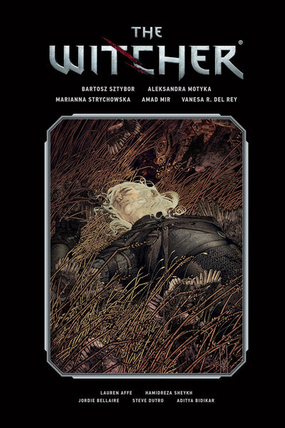 The Witcher Graphic Novel Volume 2 Library Edition (Hardcover ...