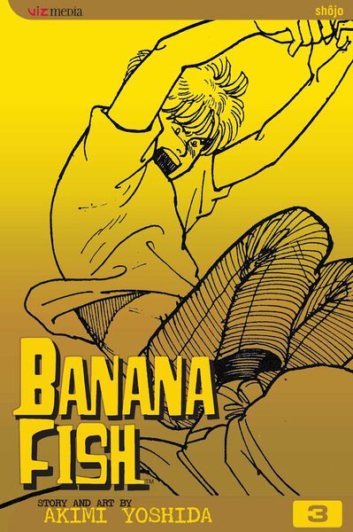 Banana Fish Manga Volume 3 | Crunchyroll Store