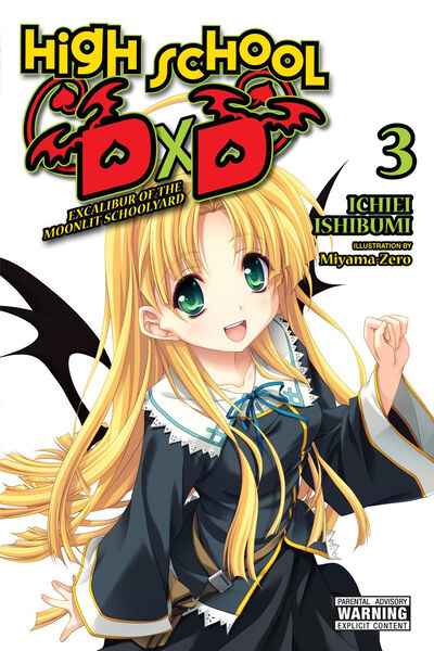 High School DxD Novel Volume 3 | Crunchyroll Store