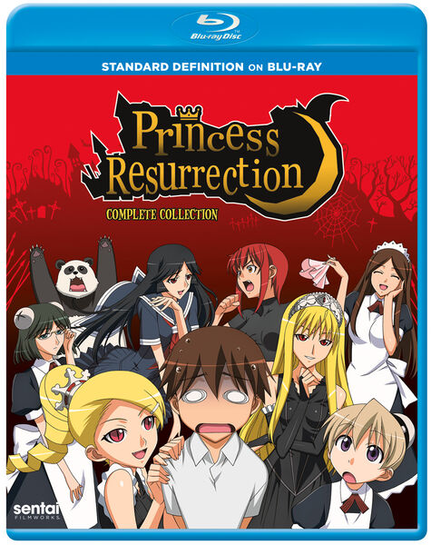 Princess Resurrection Complete Collection Blu-ray | Crunchyroll Store