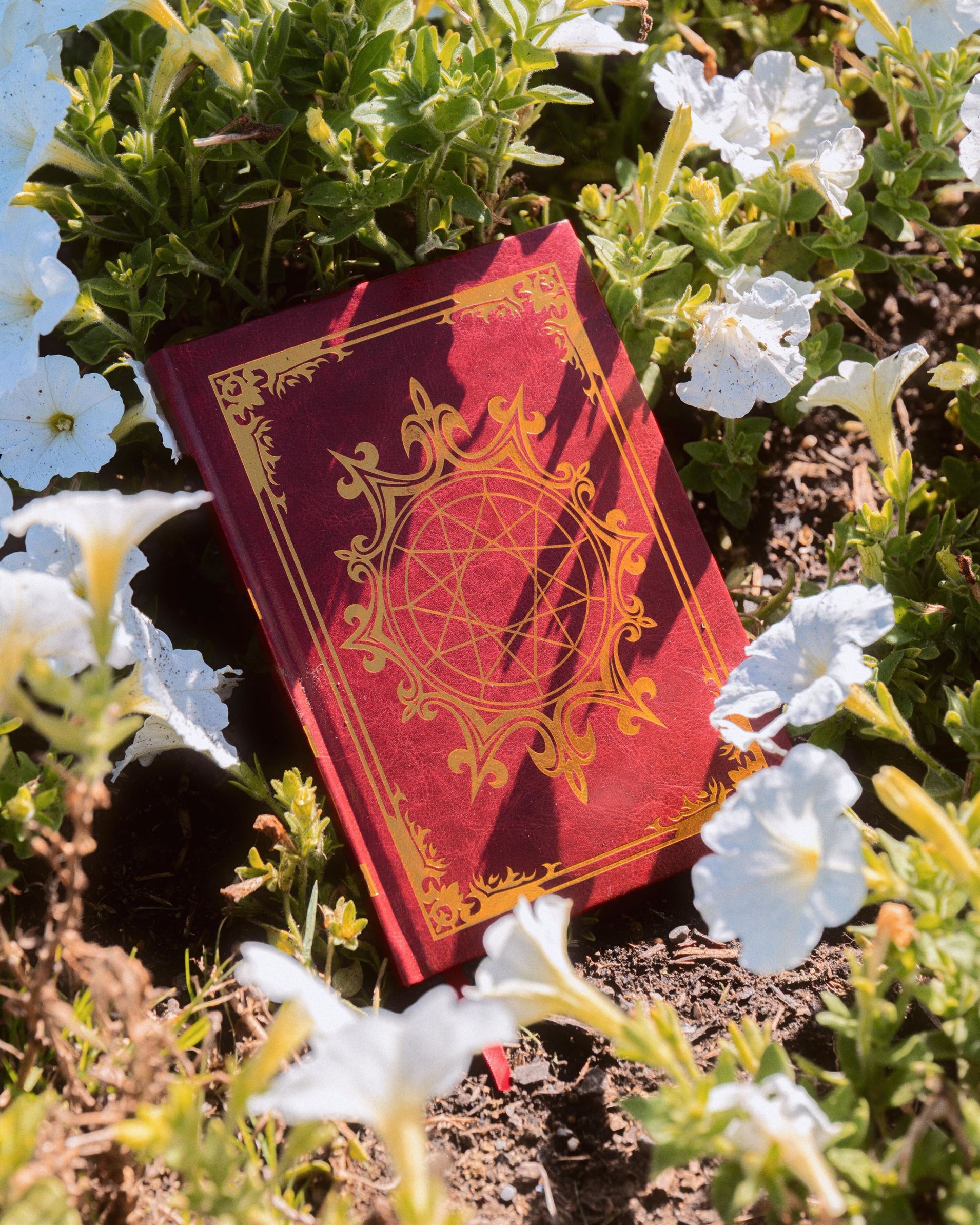 Frieren: Beyond Journey's End - Grimoire Journal - Crunchyroll ...