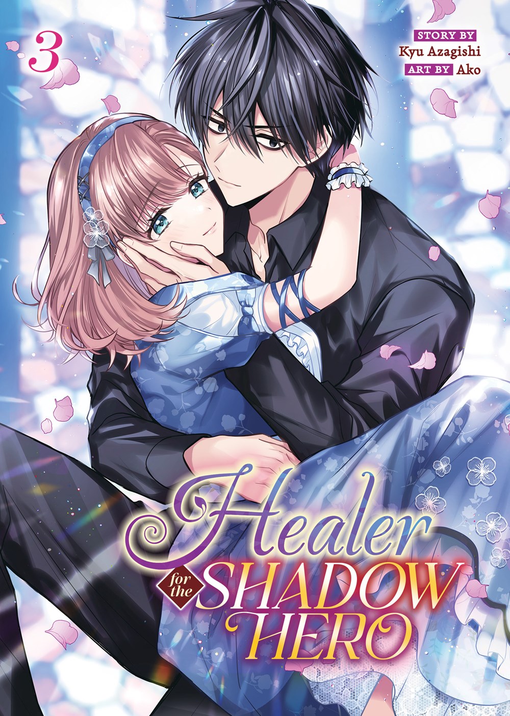 Healer for the Shadow Hero Manga Volume 3 | Crunchyroll Store
