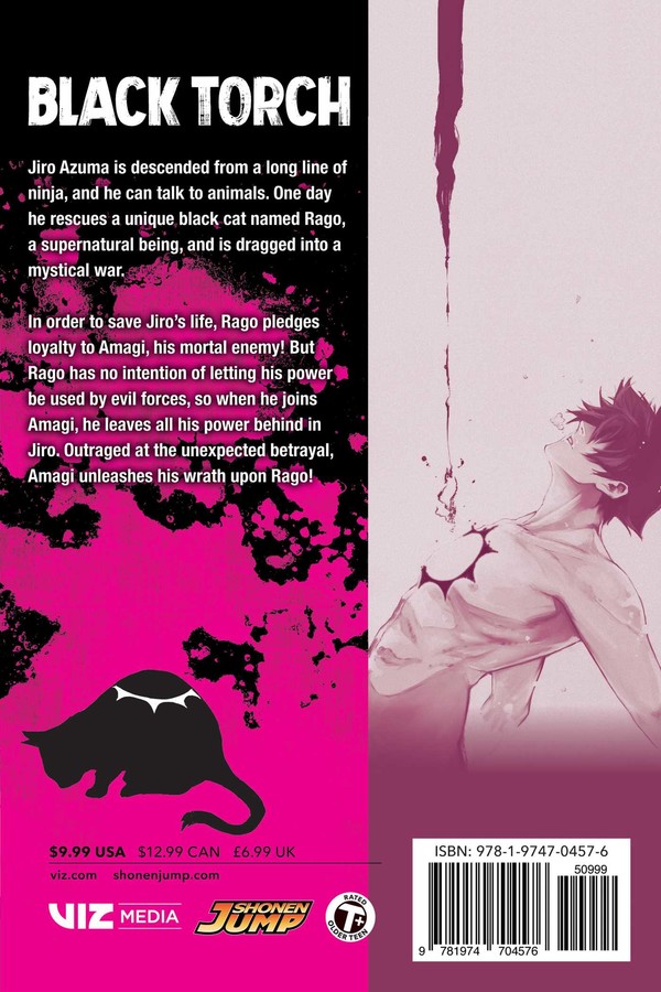 Black Torch Manga Volume 4 | Crunchyroll Store