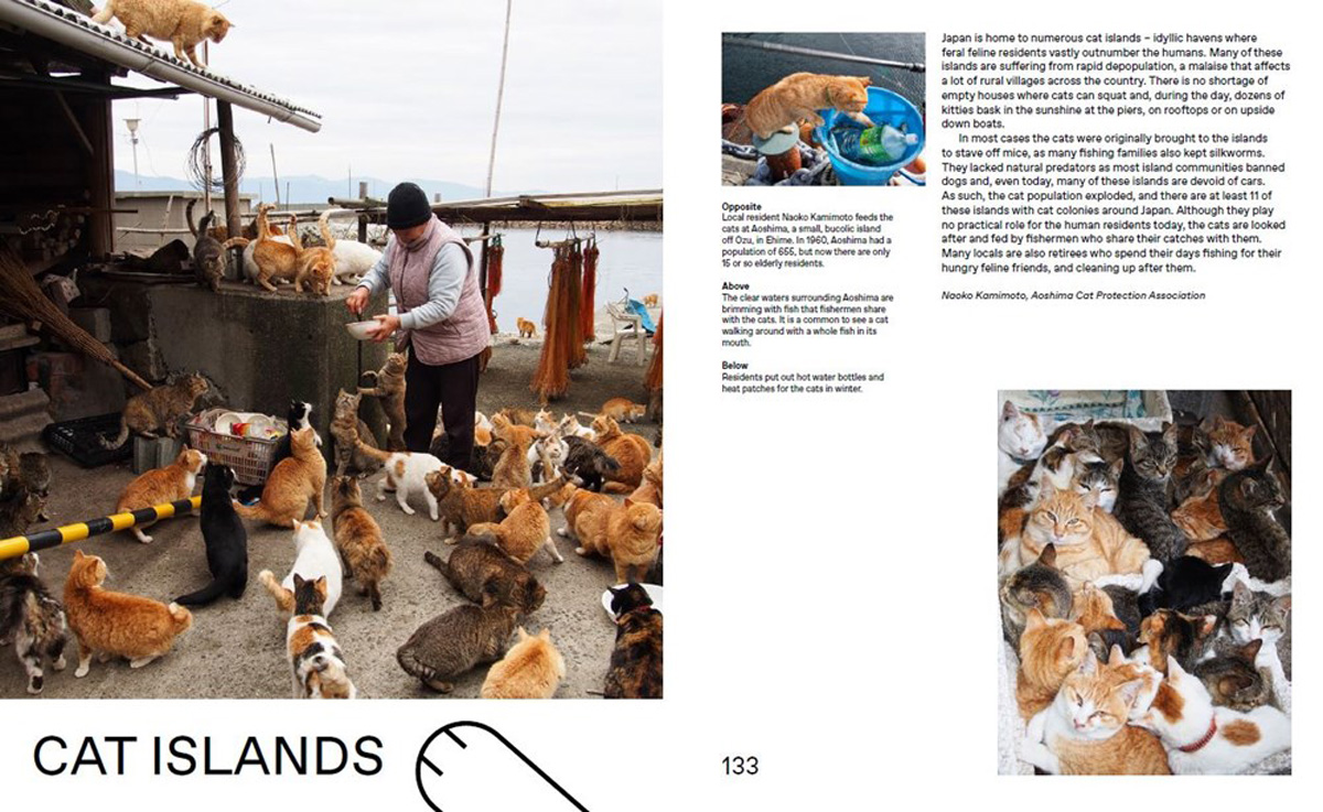 Land of the Rising Cat Japans Feline Fascination | Crunchyroll Store